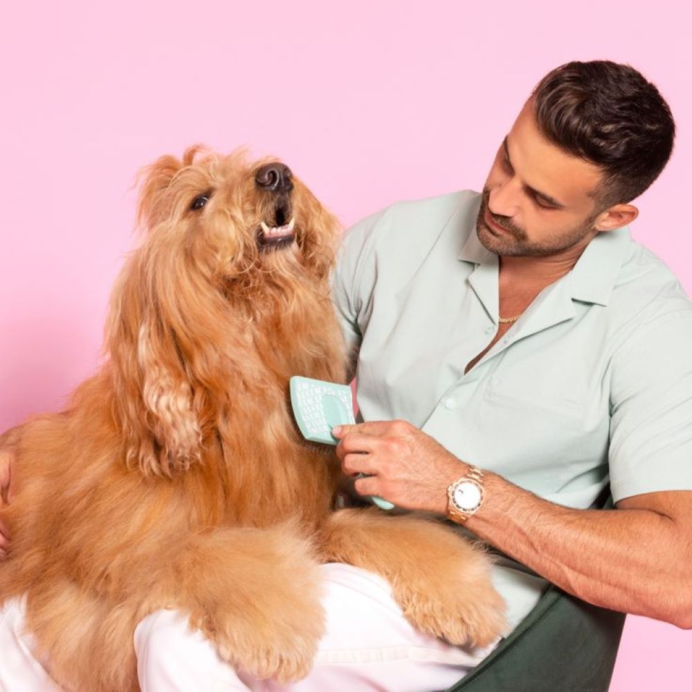 Top 5 Best Grooming Tips For Every Dog Owner