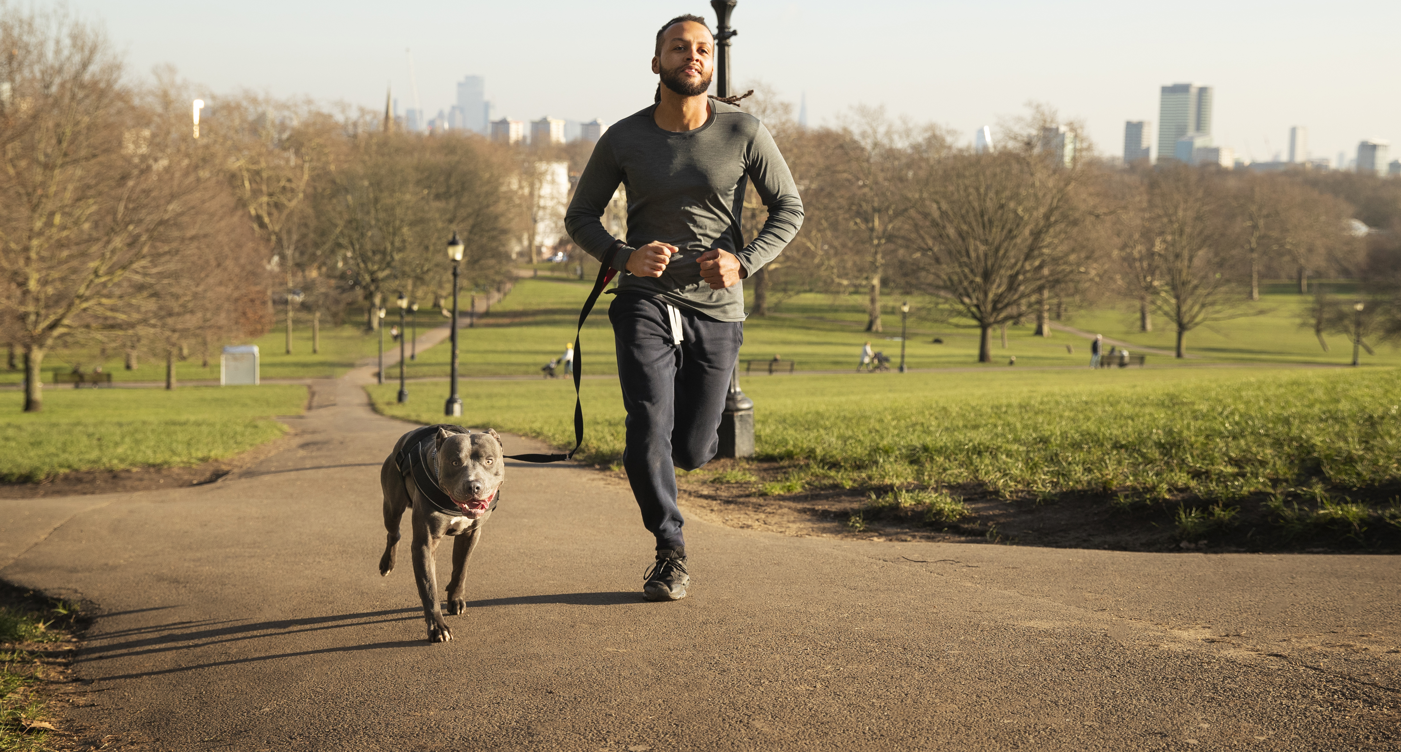 Choosing the Perfect Dog Belt for Safety and Style